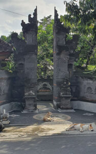 Om Swastiastu: The Sacred Greeting That Opens Hearts in Bali - Bali ...