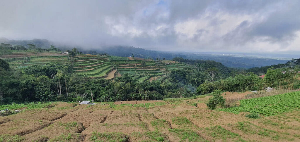The Subak System of Bali – Bali International